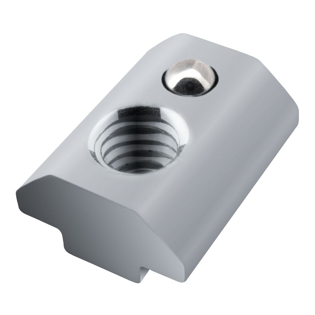 Buy 5/16‑18 Self‑Aligning Slide‑In T‑Nut Ball Spring | Modular 1